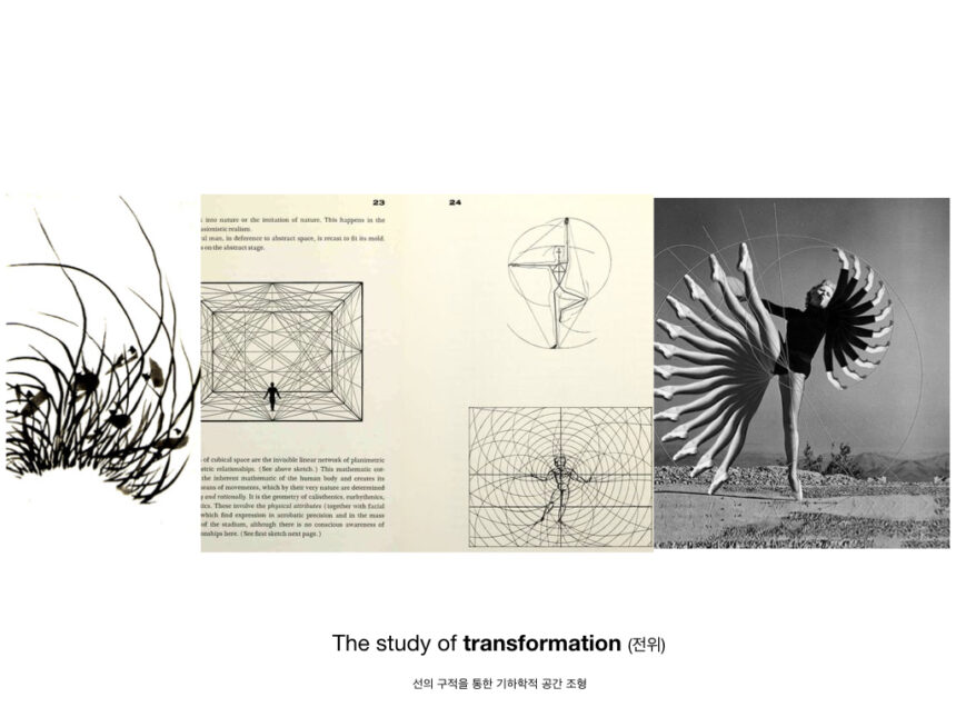 Documenta_2: The reconstruction of forms - HANACHA STUDIO